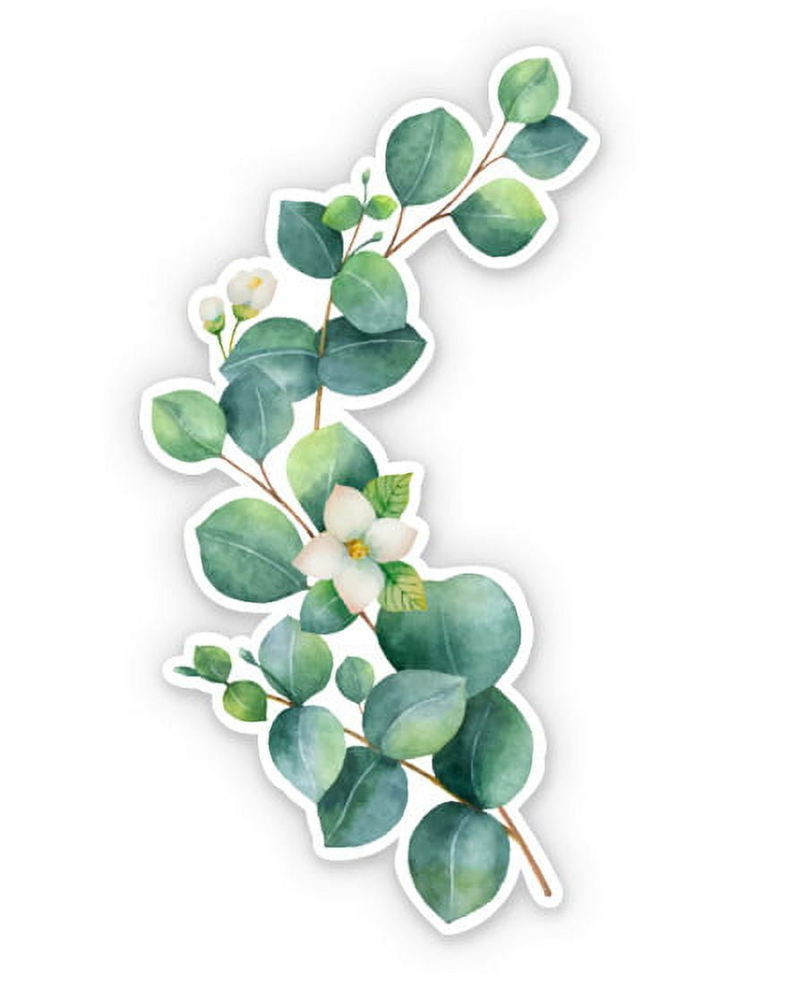 Eucalyptus - 12" Vinyl Sticker Waterproof Decal - Walmart.com