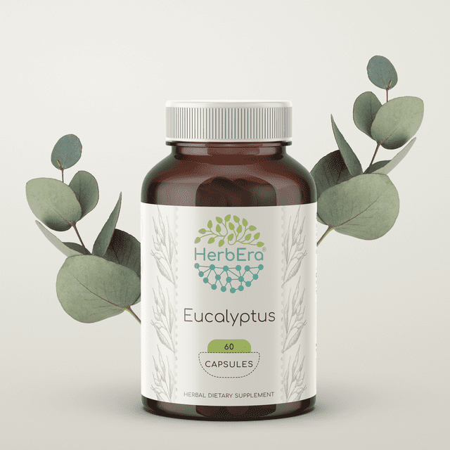 Eucalyptus 60 Capsules, 400 mg, Organic Eucalyptus (Eucalyptus Globulus ...