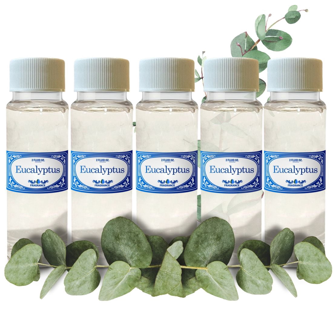 Eucalyptus Concentrated Rainbow Vacuum Fragrance, 5 Bottles of 2.0 fl ...