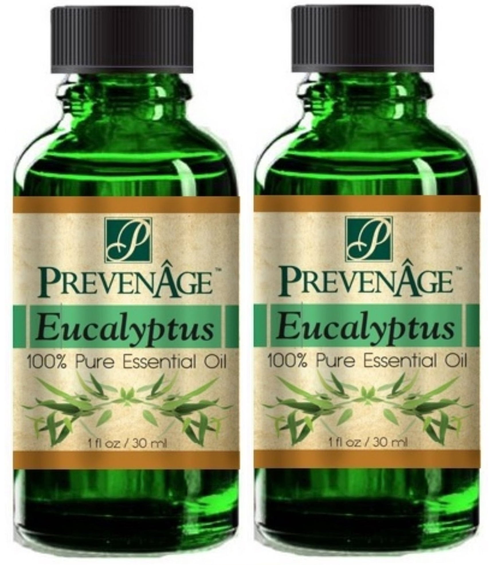 Eucalyptus Essential Oil Aromatherapy - Premium Grade - Made with 100% ...