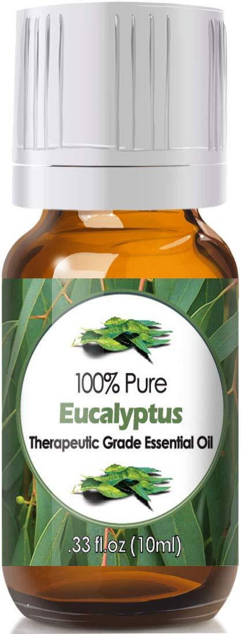 Eucalyptus Essential Oil for Diffuser & Reed Diffusers (100% Pure ...