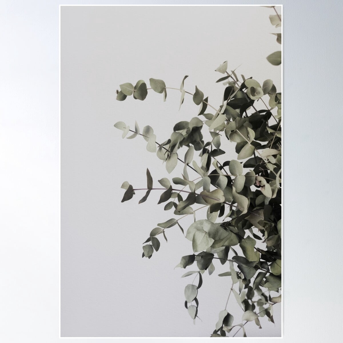 Eucalyptus Joy Poster Wall Art, Modern Wall Decor For Living Room ...