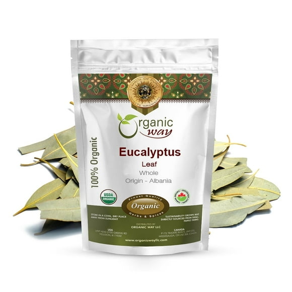 Medicinal Eucalyptus