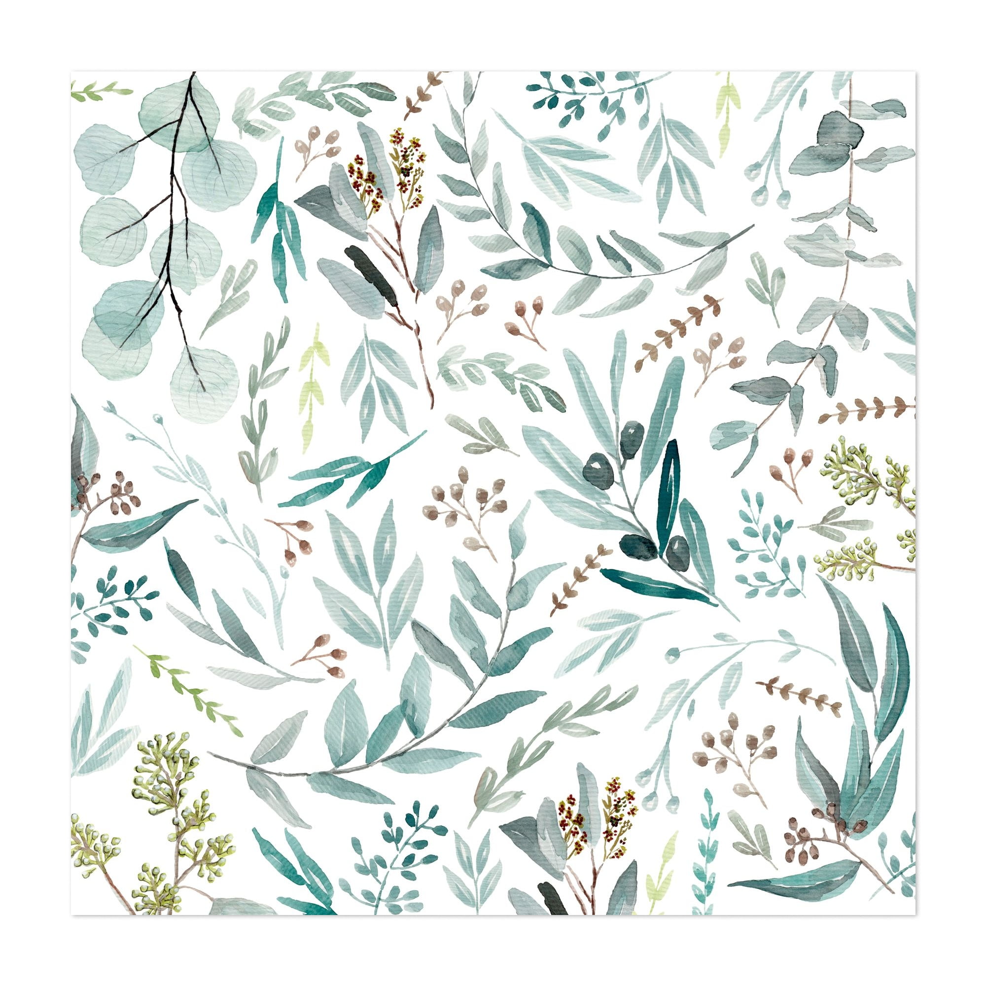 Eucalyptus Leaves Pattern - Illustration Botanical Floral Nature ...
