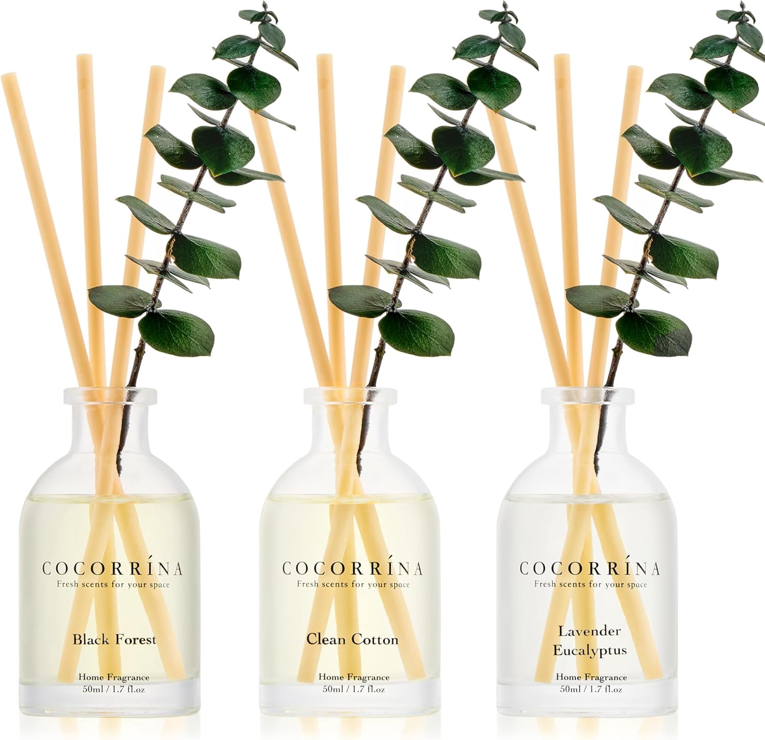 Eucalyptus Reed Diffuser Set of 3 - Lavender Eucalyptus, Black Forest ...