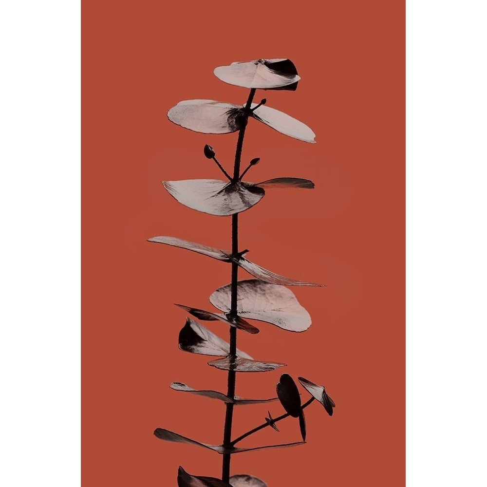 Eucalyptus Rust 02 Poster Print - 1x Studio III - Walmart.com