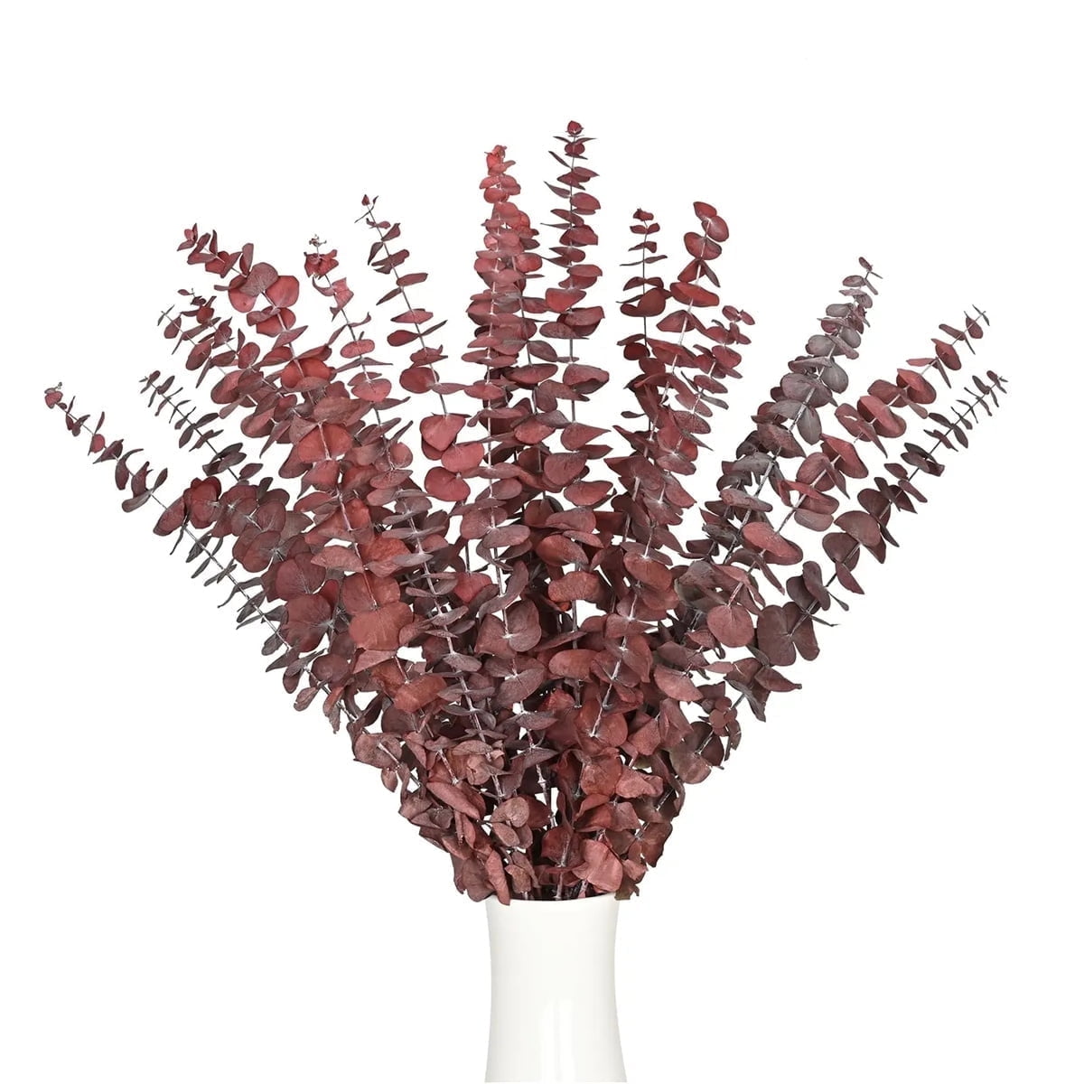 Eucalyptus Stems Red, 17'' Dried Eucalyptus Bundle, Real Preserved ...
