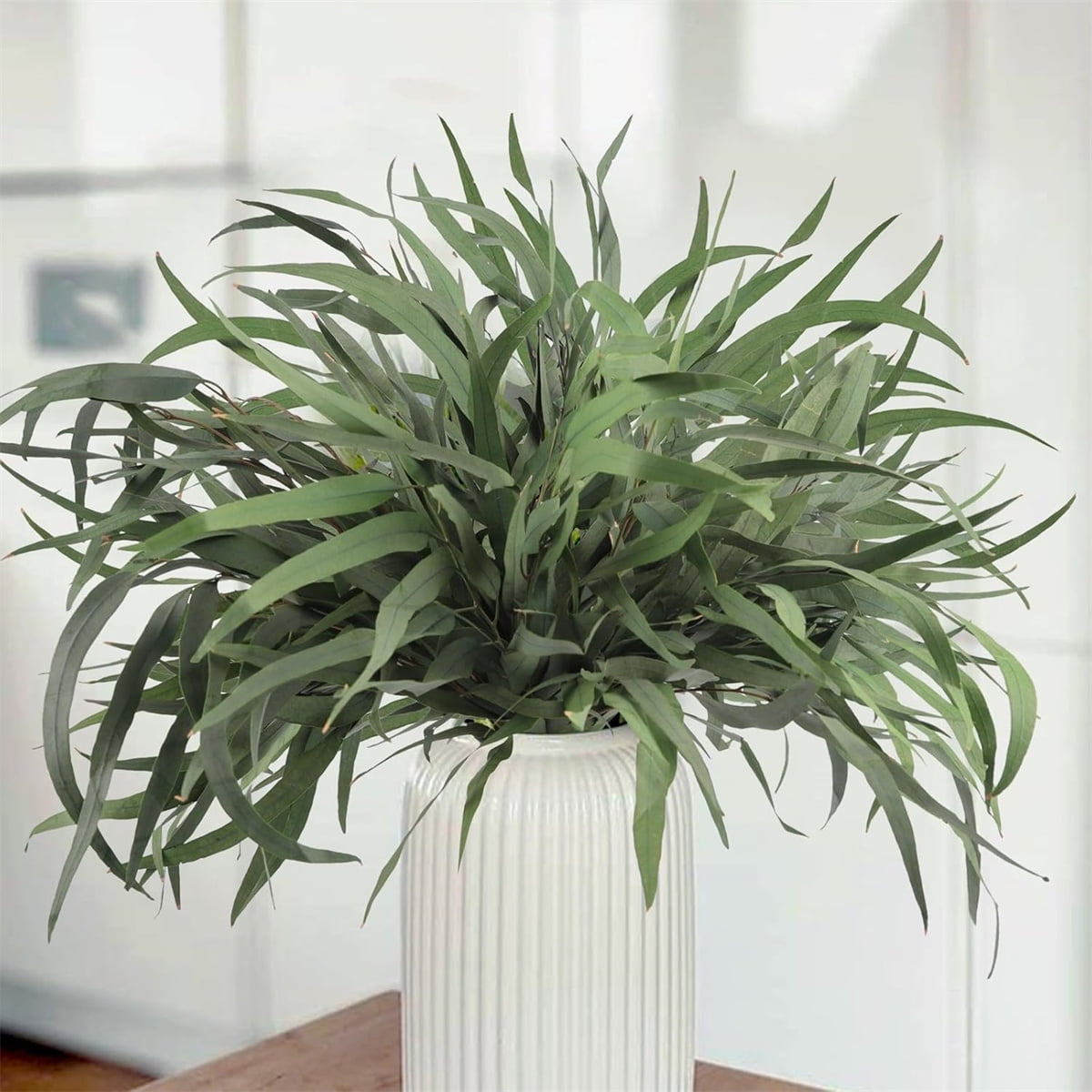 Eucalyptus Stems, Tutuviw Two Beams Dried Eucalyptus Stems 16inch Real ...