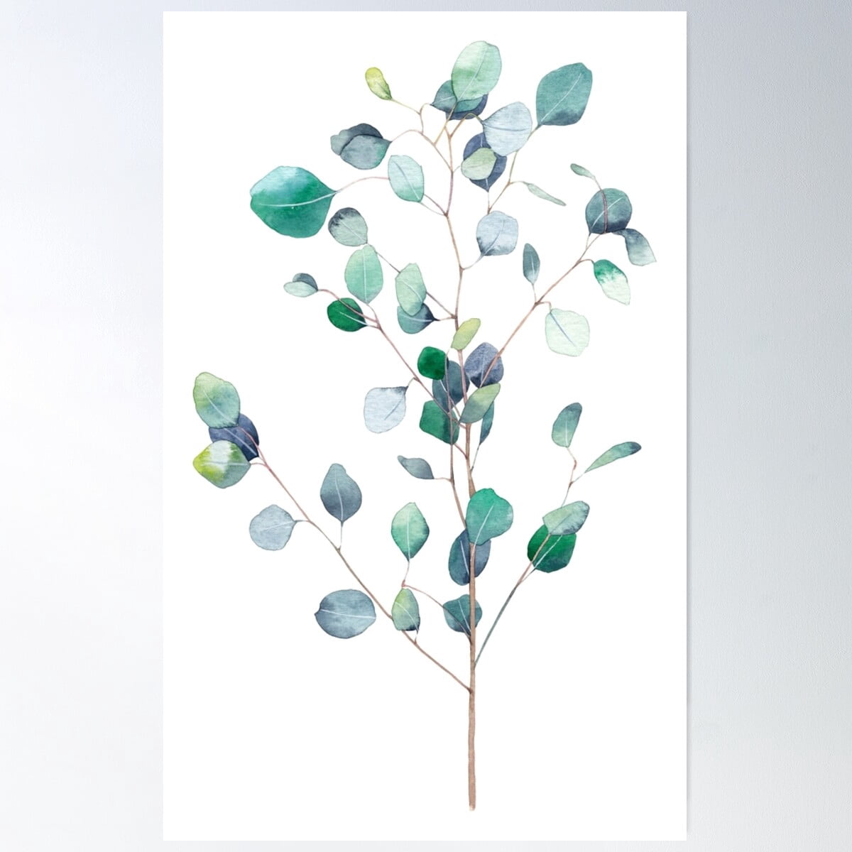 Eucalyptus Watercolor Painting Poster Wall Art, Modern Wall Decor For ...