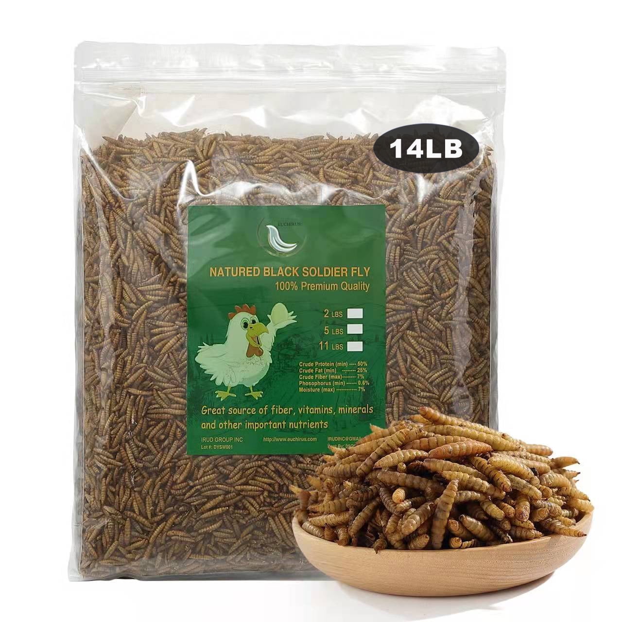 Euchirus 14LB Non- GMO Dried Black Soldier Fly Larvae - Poultry Treats ...