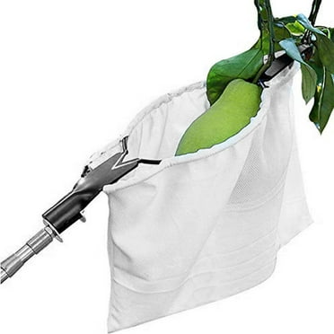 Zenport ZL6146B 10 ft. Telescopic Fruit Picker Long Reach Fruit ...