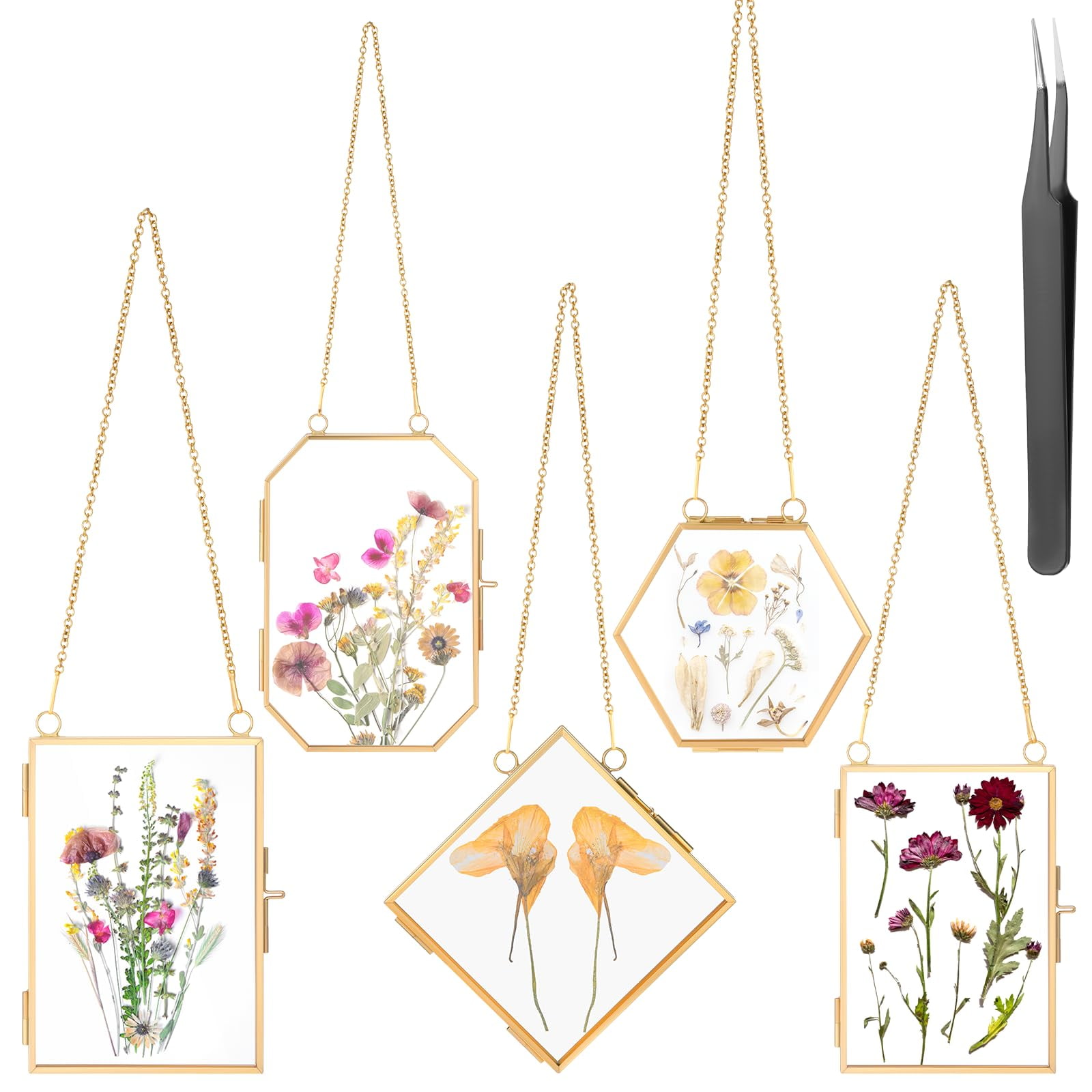 EupHHonycs 5 Pcs Double Glass Frame for Pressed Flowers, Clear Double ...