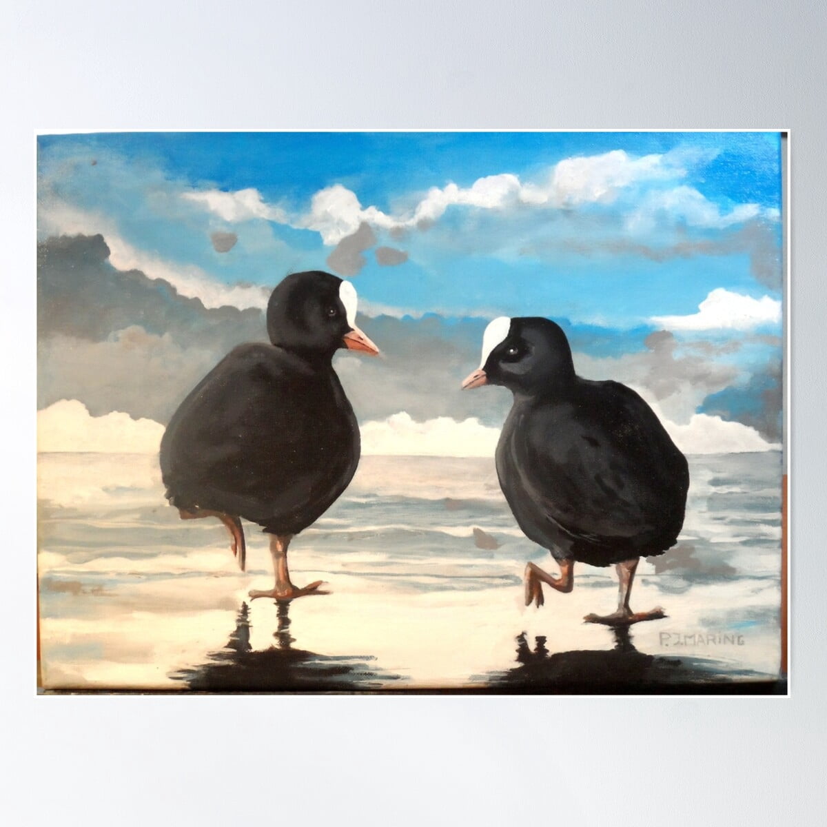 Eurasian Coots In Conversation Poster Wall Art, Modern Wall Decor For ...