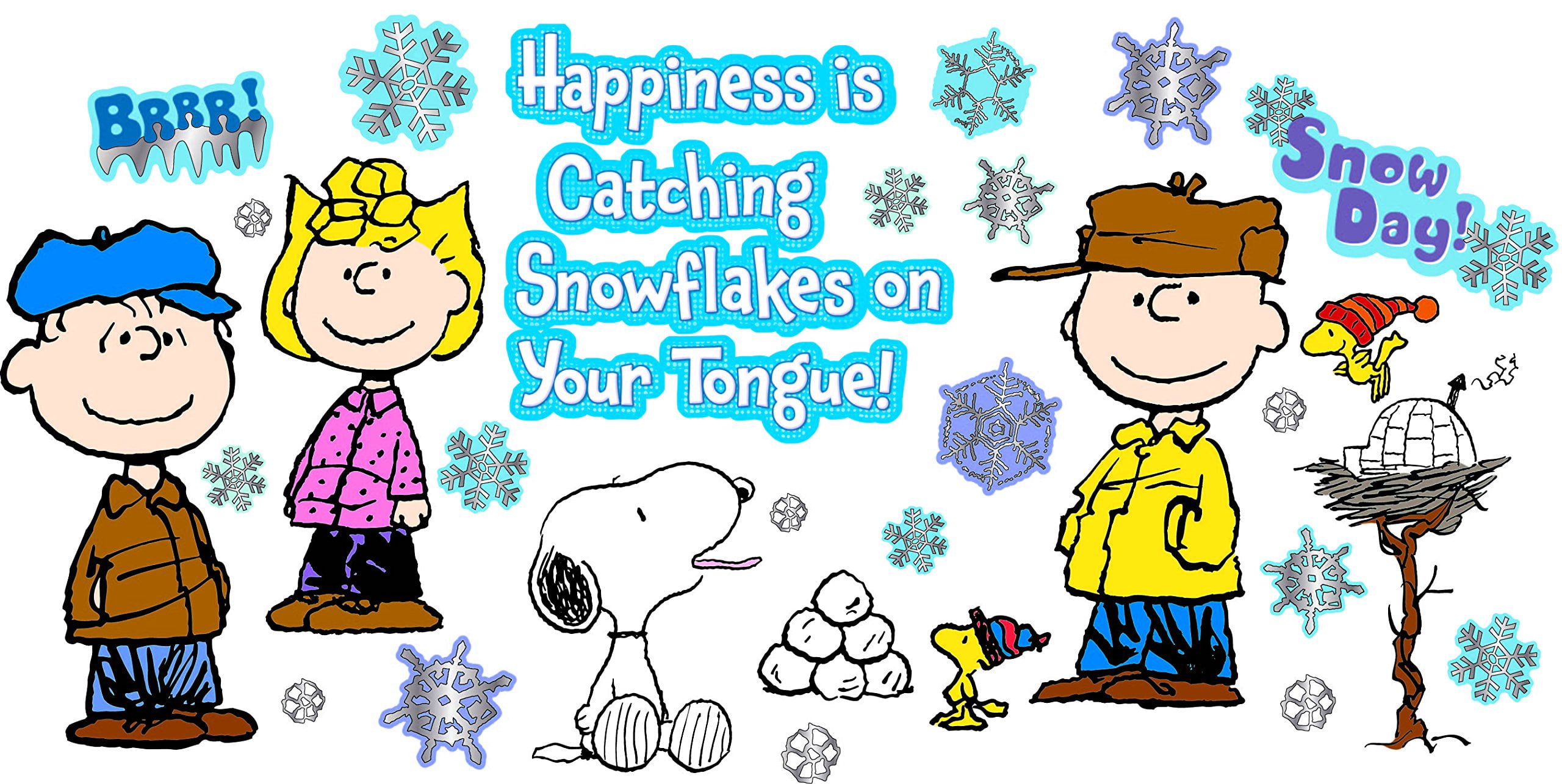 Eureka Classroom Bulletin Board Set, Peanuts Happiness Is A Snowflake ...