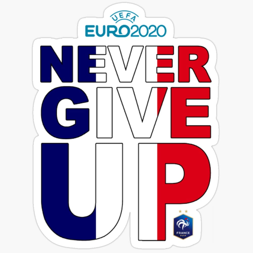 Euro 2021 France Sticker Phone Decal Water Bottle Stickers Car Decals ...