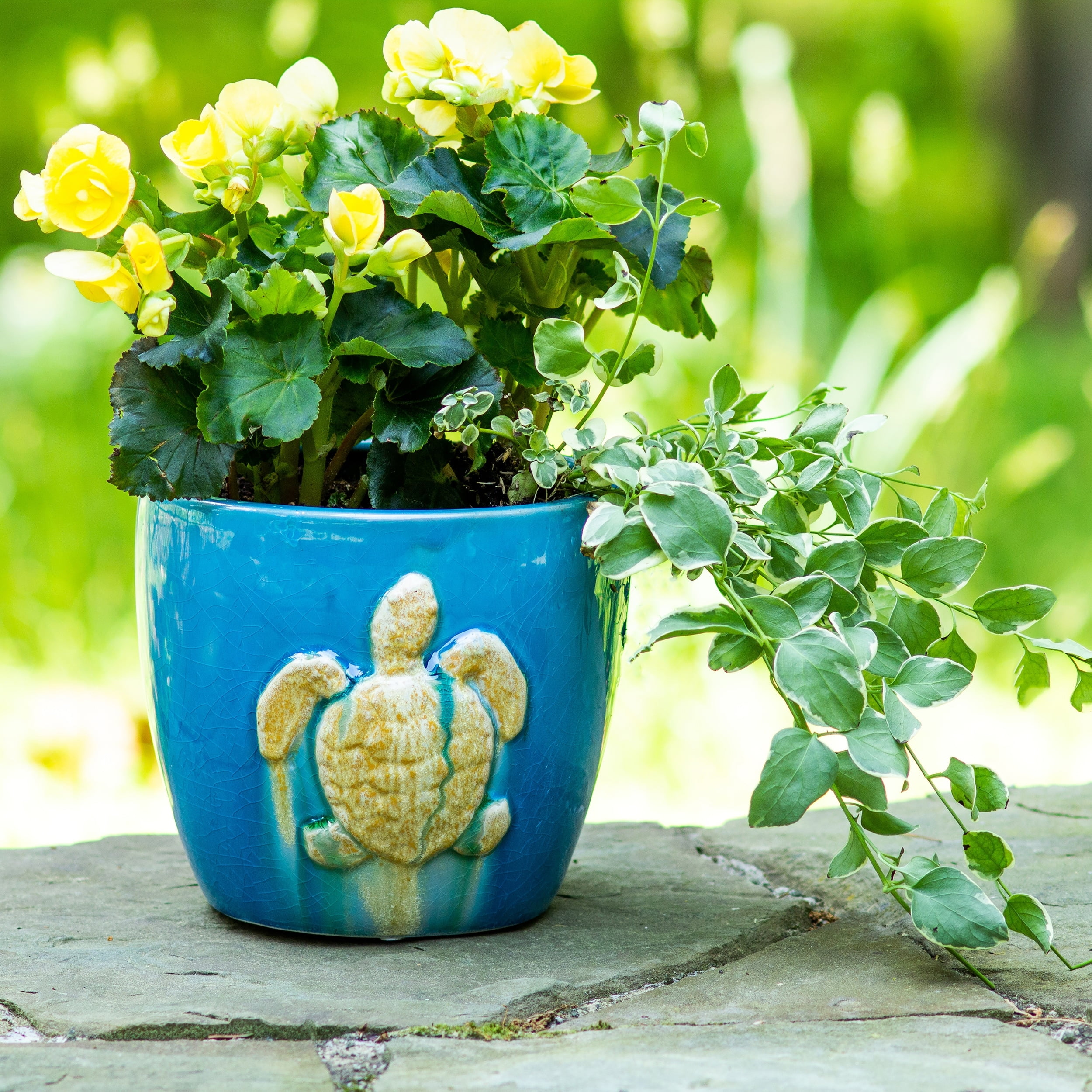 Euro Ceramica Grotto Aqua 7" Stoneware Seaturtle Planter - 7 in. x 6.75 ...
