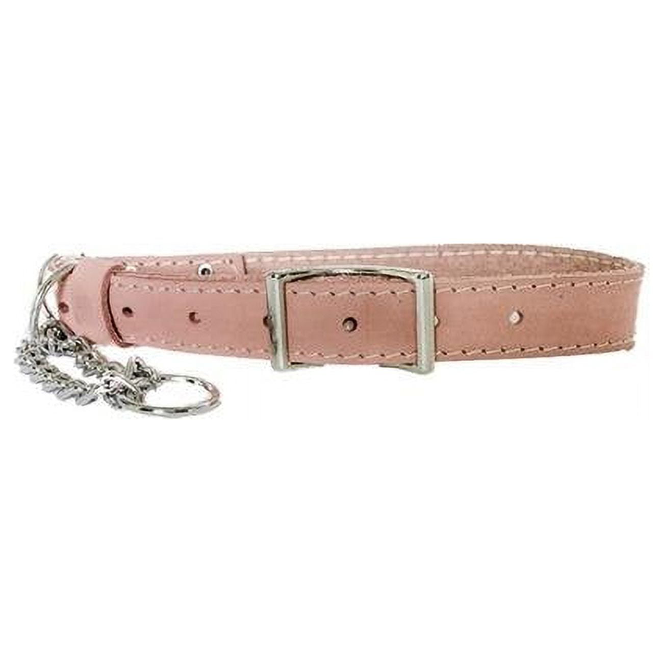 Martingale Luxury Dog Collar - Walmart.com