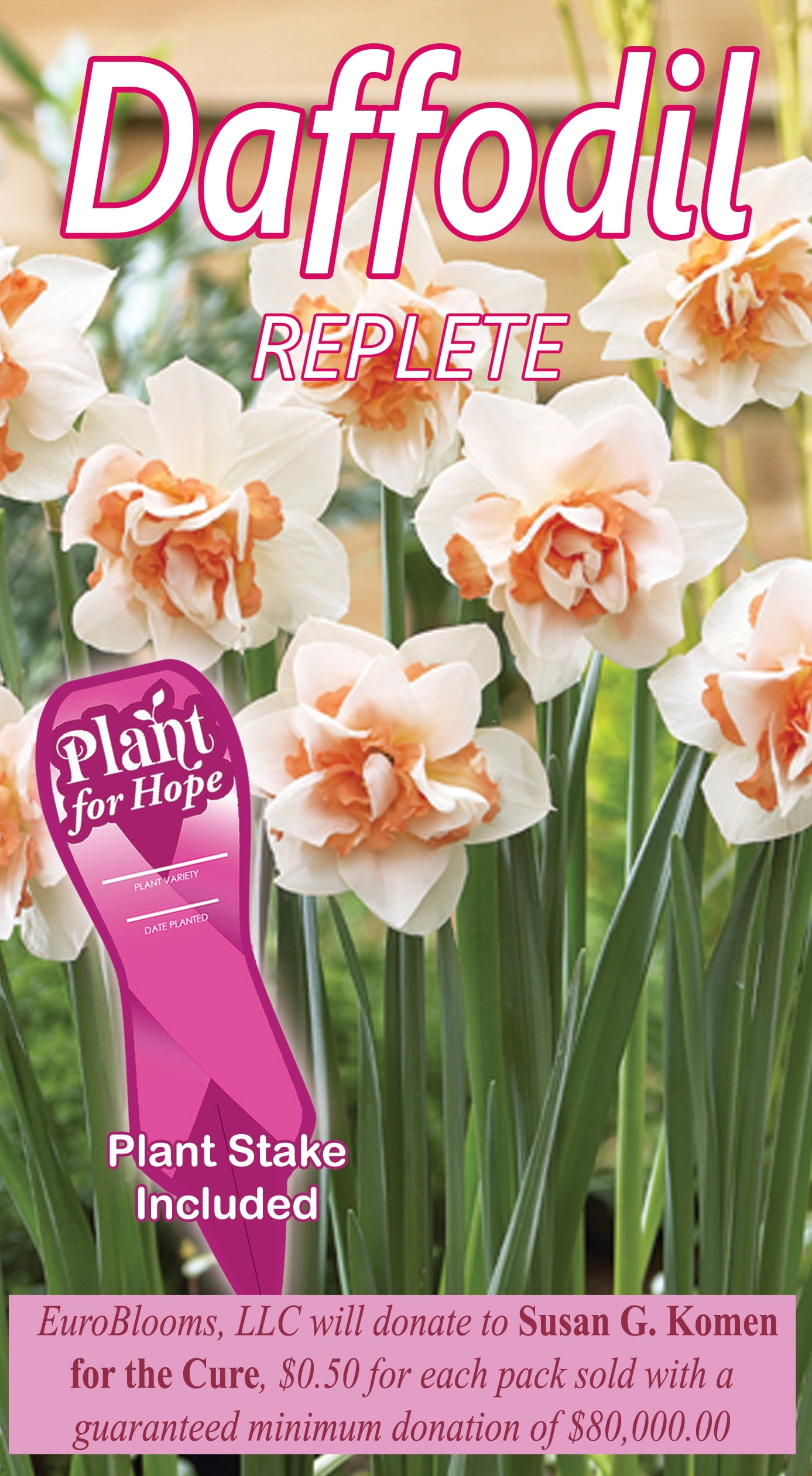 EuroBlooms Daffodil Replete, Pink - Walmart Business Supplies