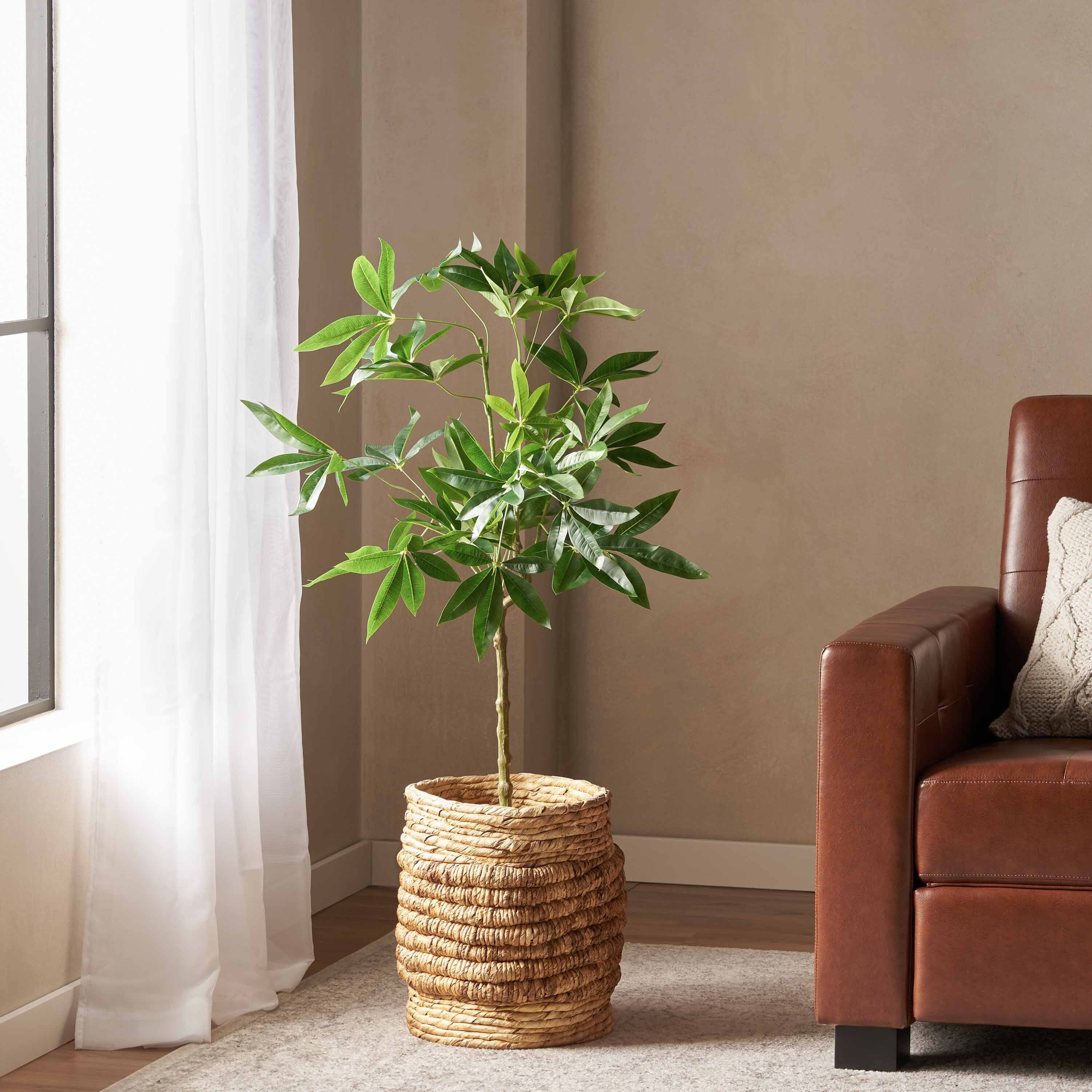 Euroco 3.9FT Artificial Plants Pachira Macrocarpa Tree, Fake Money Tree ...