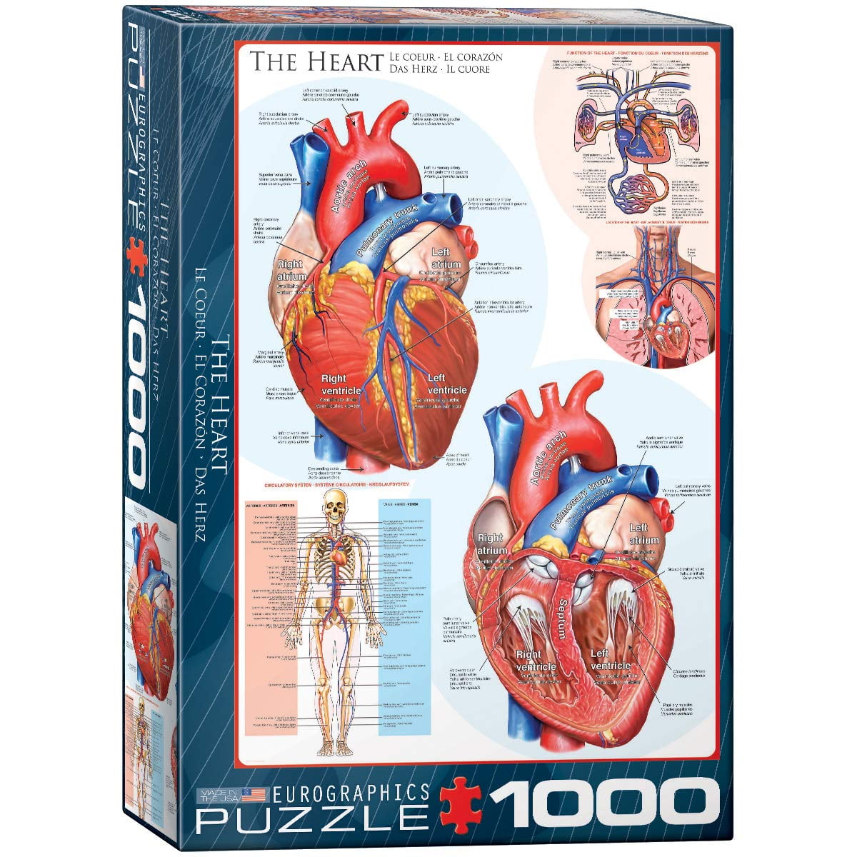 Eurographicspuzzles Science - The Heart - Jigsaw Puzzle - 1000 Pieces ...