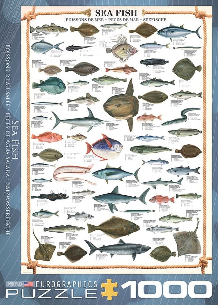Eurographicspuzzles - Sea Fish - Jigsaw Puzzle - 1000 Pieces - Walmart.com