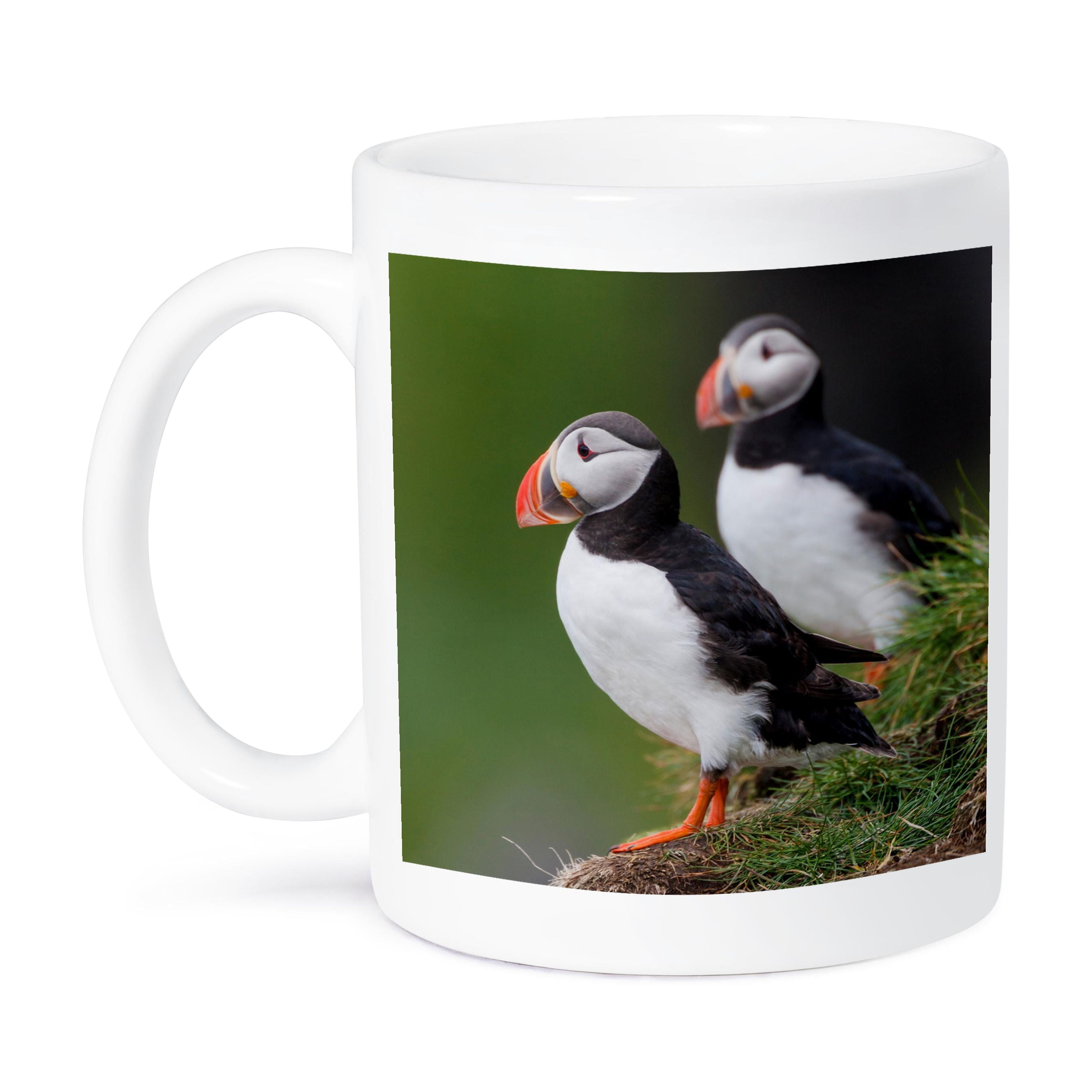 Europe, Iceland, Westfjords. A Group Of Atlantic Puffins On Hillside ...