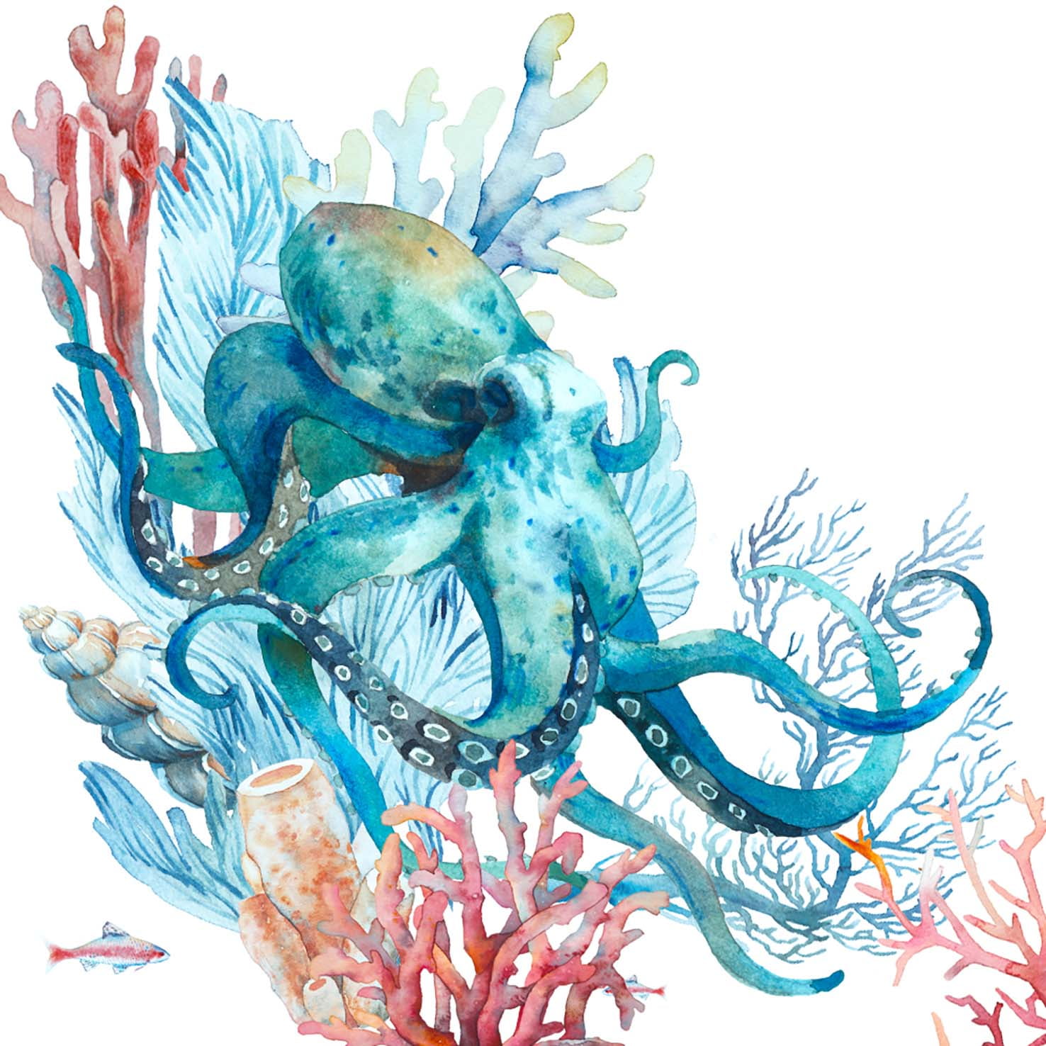 European Excellency Cocktail Napkins OCTOPUS 40pcs Coastal Paper ...