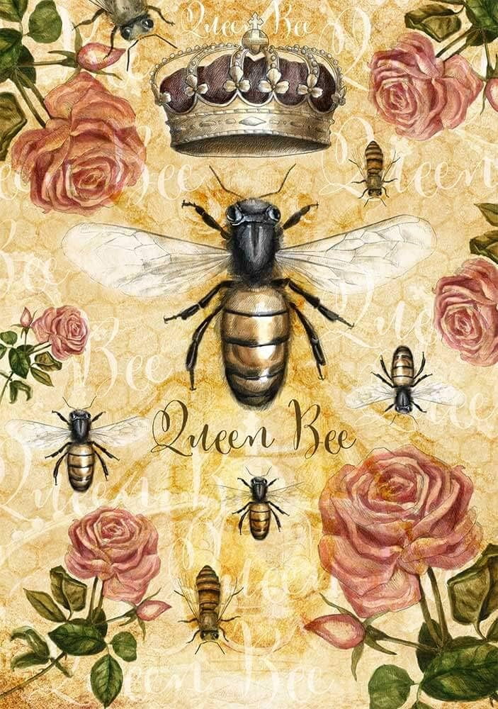 European Excellency, Queen Bee Decoupage Paper for Furniture and Crafts ...