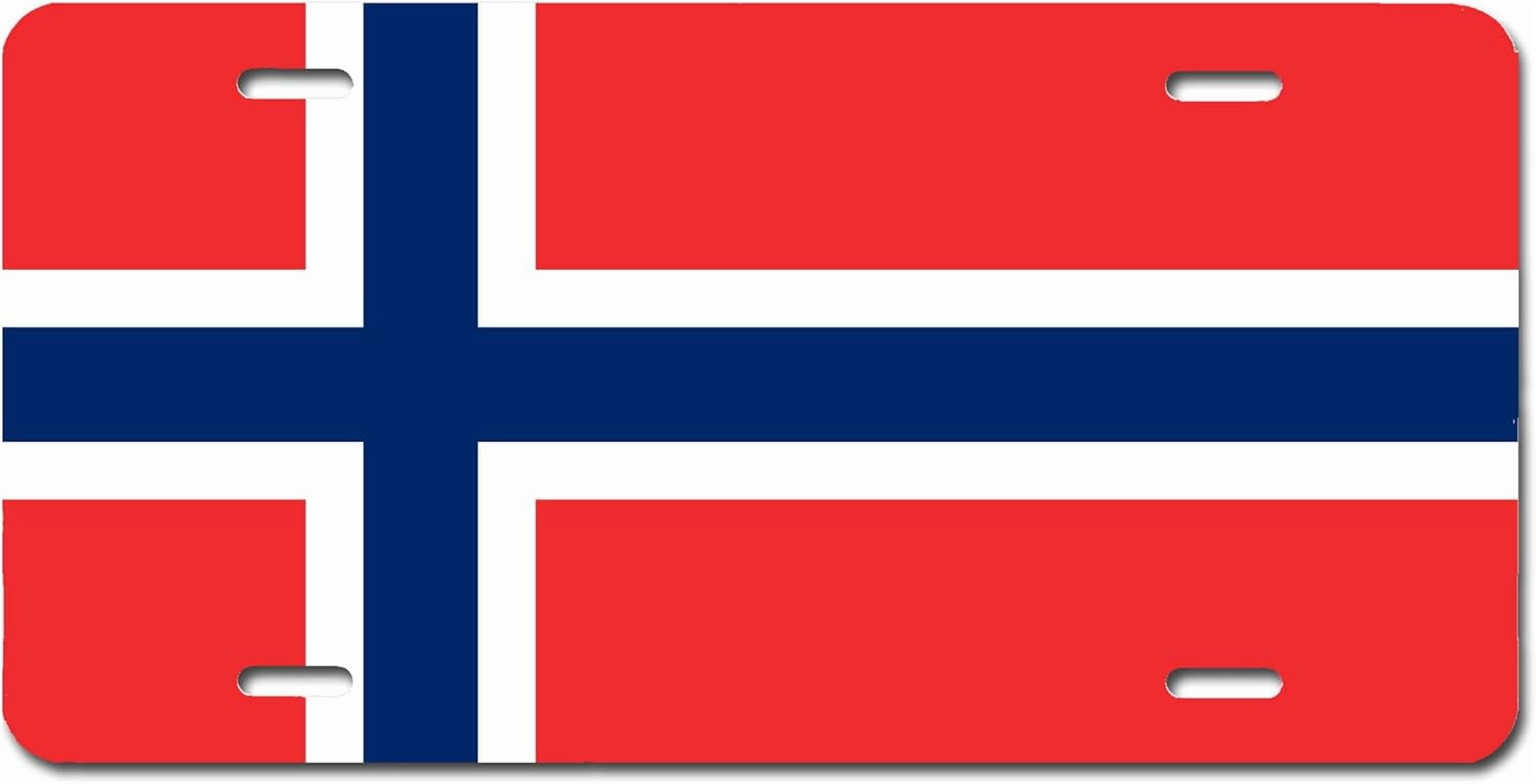 European Flag License Plate – 6X12 Full Size for Front of Car, Rust ...