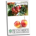 European/French Crab Apple Tree Seeds, 20 Apple Seeds Per Packet Non ...