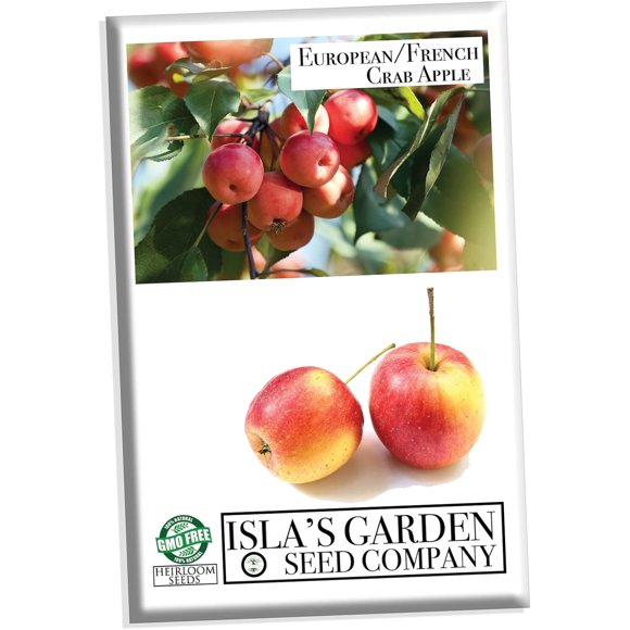 Apple Seeds in Seed Gardening - Walmart.com