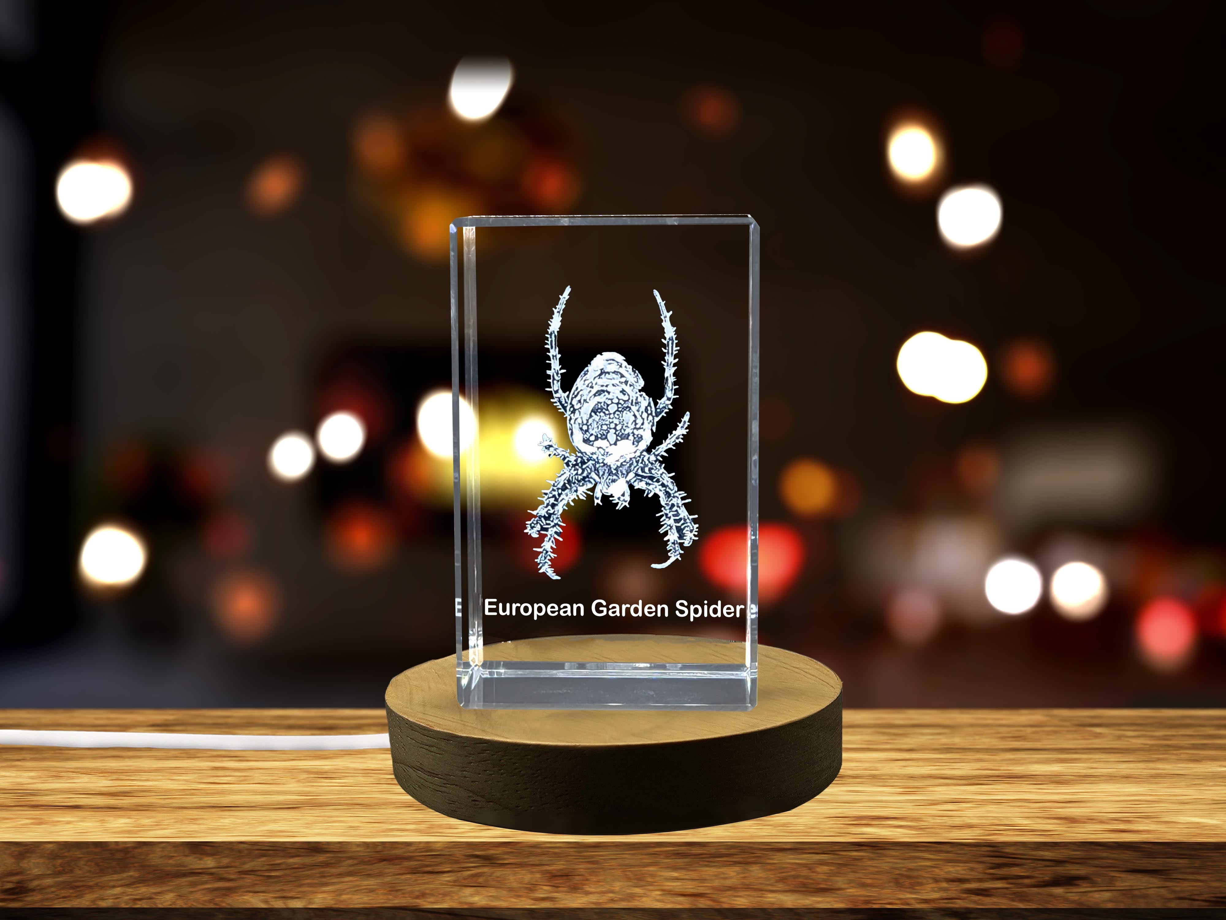 European Garden Spider Crystal Statue - Nature Sculpture of Araneus ...