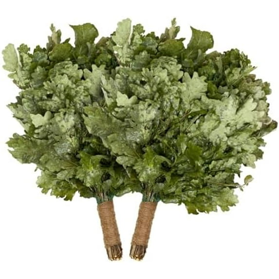 European Oak Sauna Whisks – 2 Pack | Premium Natural Oak Bath Brooms ...