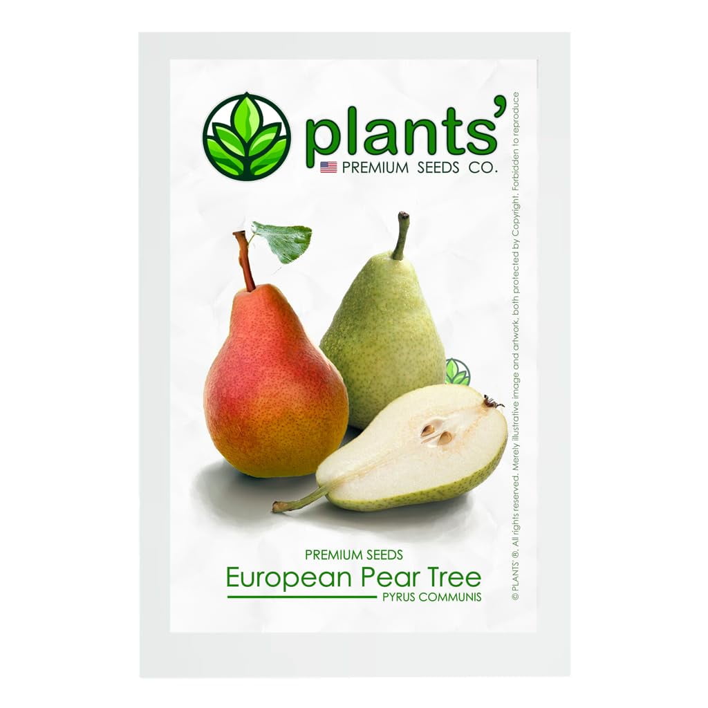 European Pear | AJH3 Premium Seeds | Pyrus communis 'Fruit' | Plants ...