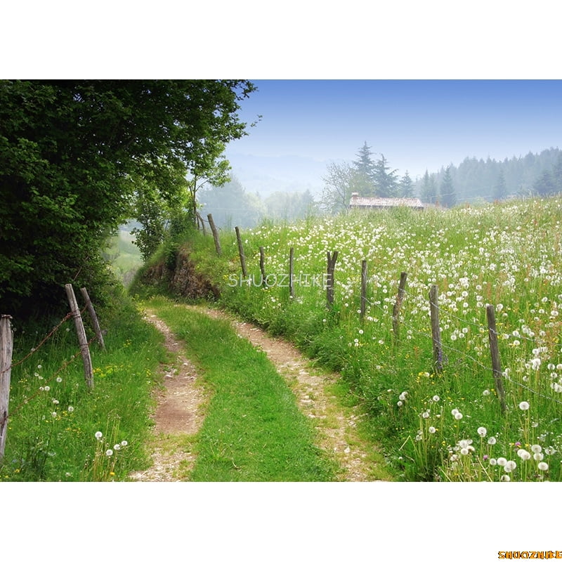 European Street Scery Photography Backdrops Props Blue Sky White Cloud ...