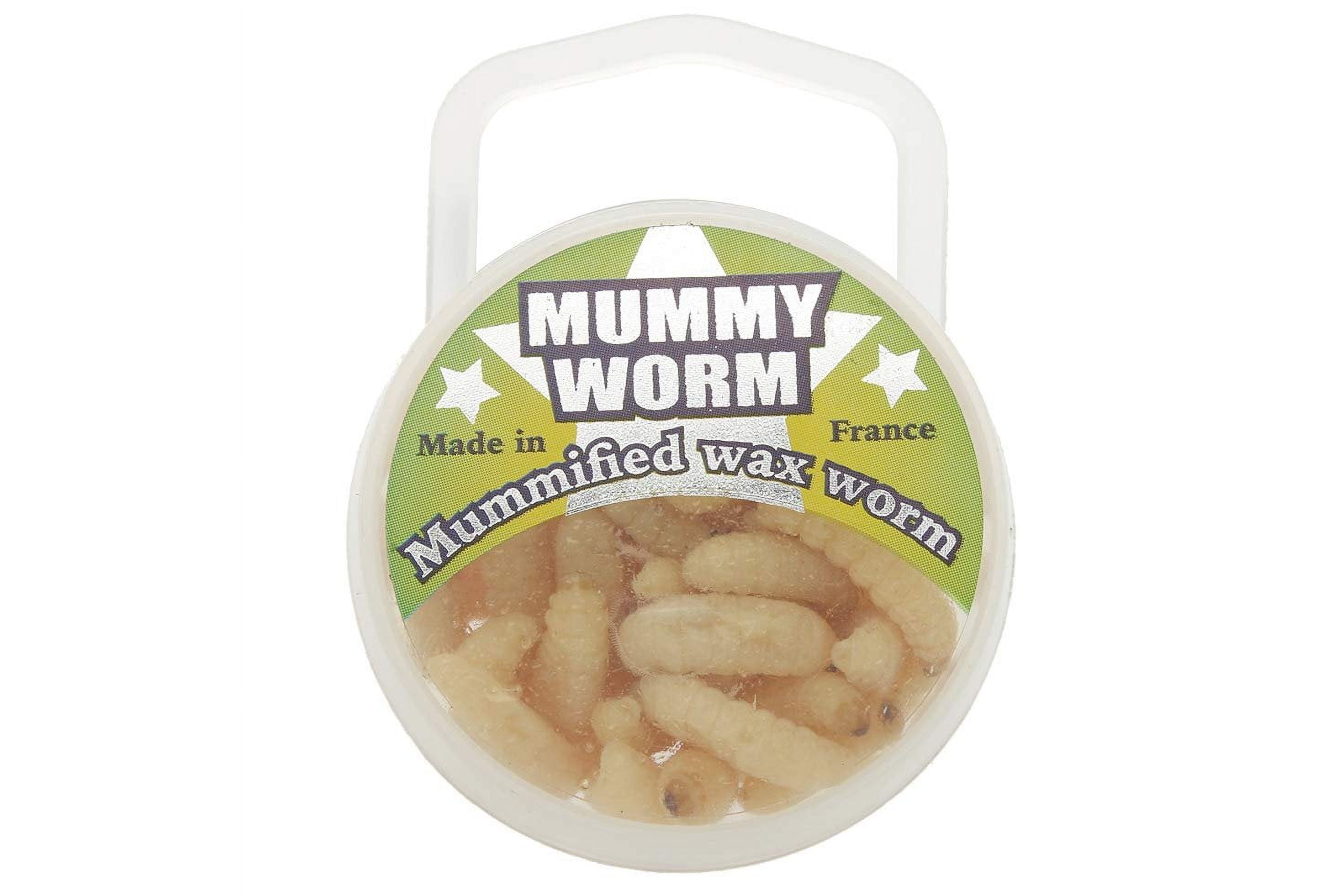 Eurotackle Mummy Worm Preserved Fishing Wax Worms - Natural, 35+ per Pack - Walmart.com