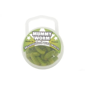 DMF Bait Co. Meal Worms, Live Fishing Bait, 36 Count - Walmart.com