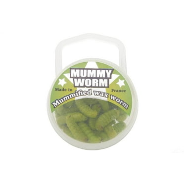 DMF Bait Co. Meal Worms, Live Fishing Bait, 36 Count - Walmart.com