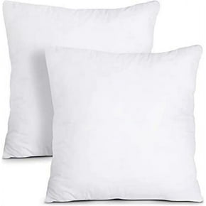 20x20 Pillow
