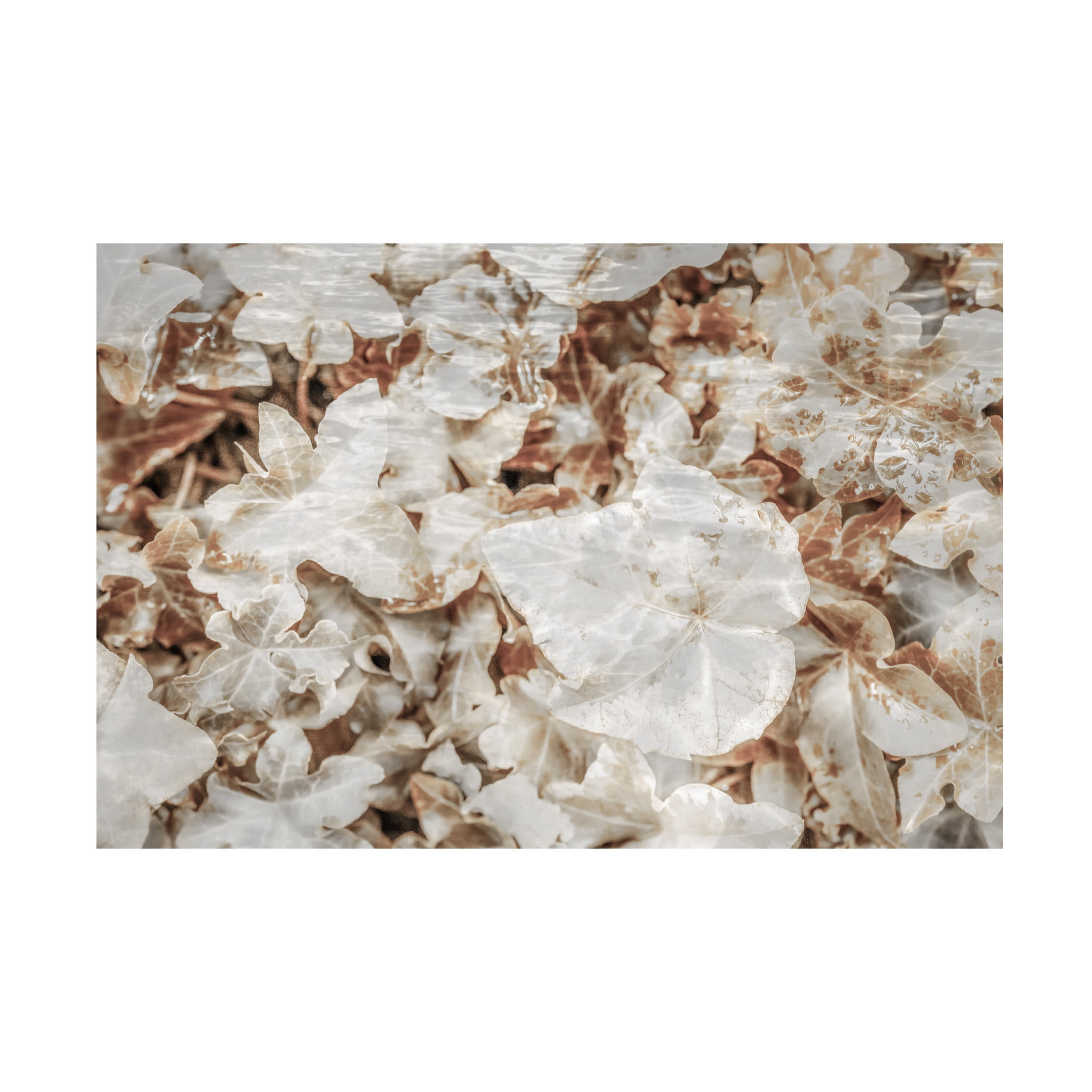 Eva Bane 'Fall Musing 05' Canvas Art - Walmart.com