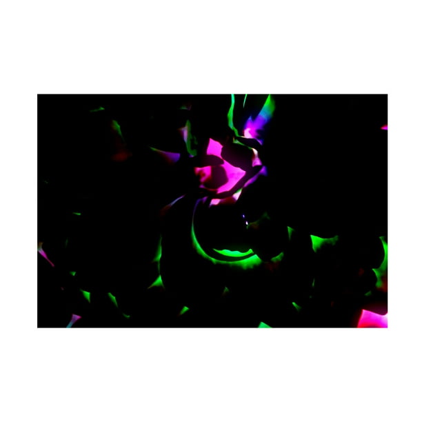 Eva Bane 'Neon Glow in the Dark 05' Canvas Art - Walmart Business Supplies