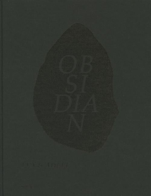 Eva and Adele: Obsidian (Hardcover) by Marta Herfrord - Walmart.com