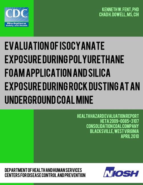 Evaluation of Isocyanate Exposure During Polyurethane Foam Application ...
