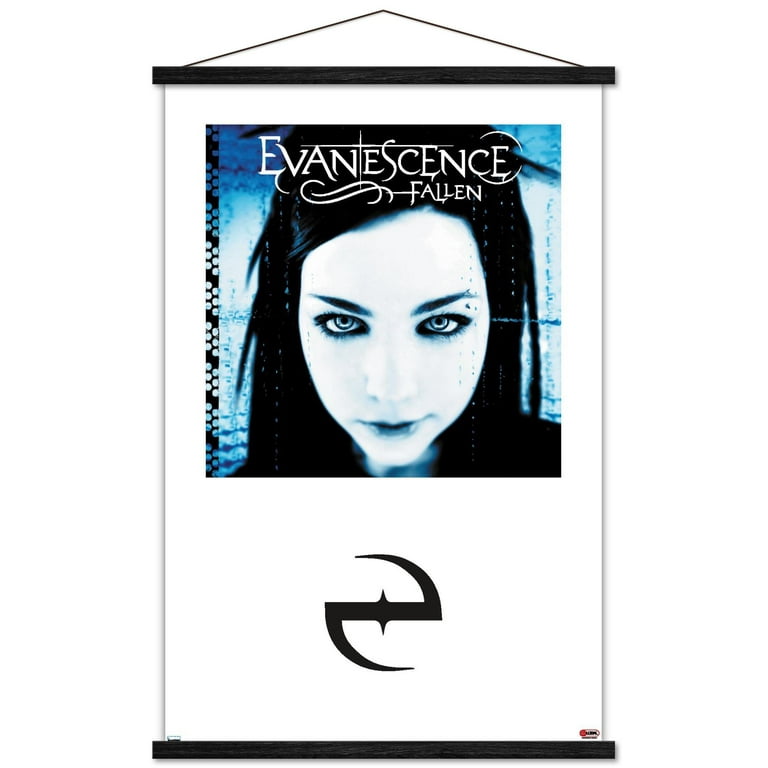 Evanescence Fallen Album Cover My Fallen CD Book Signed By Amy During