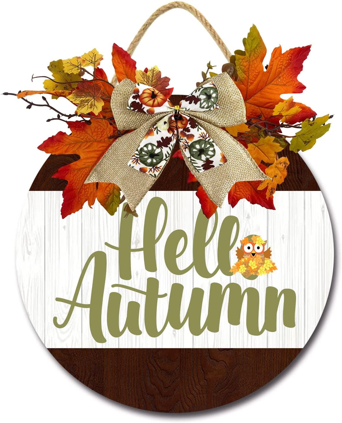 Eveokoki 11" Hello Autumn Cute Owl Funny Cute Owl Signs for Front Door ...