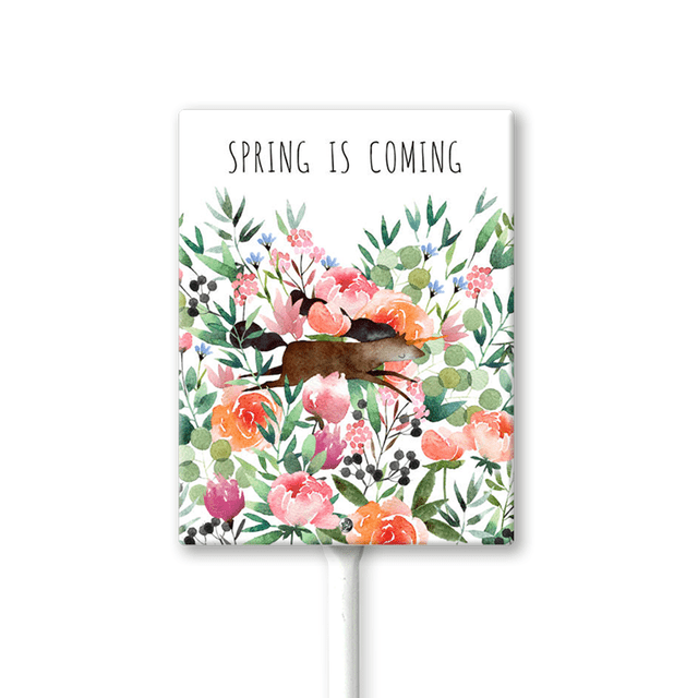 Eveokoki 4.6x6 Inches Spring Is Coming Yard Sign with Stakes Spring ...