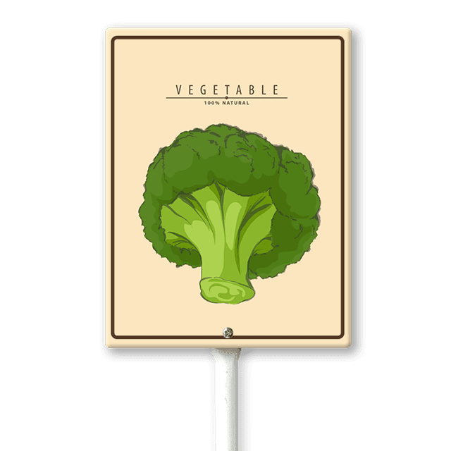 Eveokoki Aluminum Fresh Green Broccoli Garden Signs Decor- Metal Garden ...