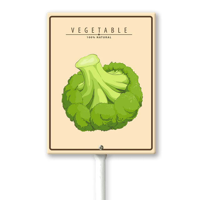 Eveokoki Aluminum Green Fresh Broccoli Garden Signs Decor- Metal Garden ...