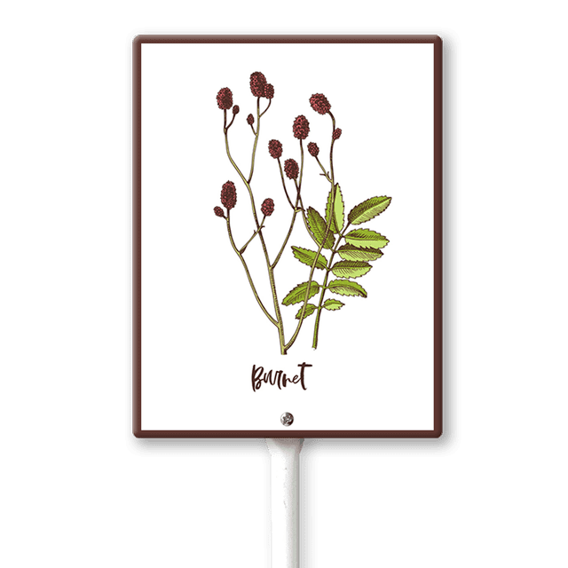 Eveokoki Burnet Sign For Yard With Stake, Herb Yard Sign, Lawnmower ...