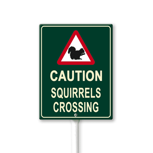 Eveokoki Caution Squirrels Crossing Yard Sign with Stake 7x8.8inch ...